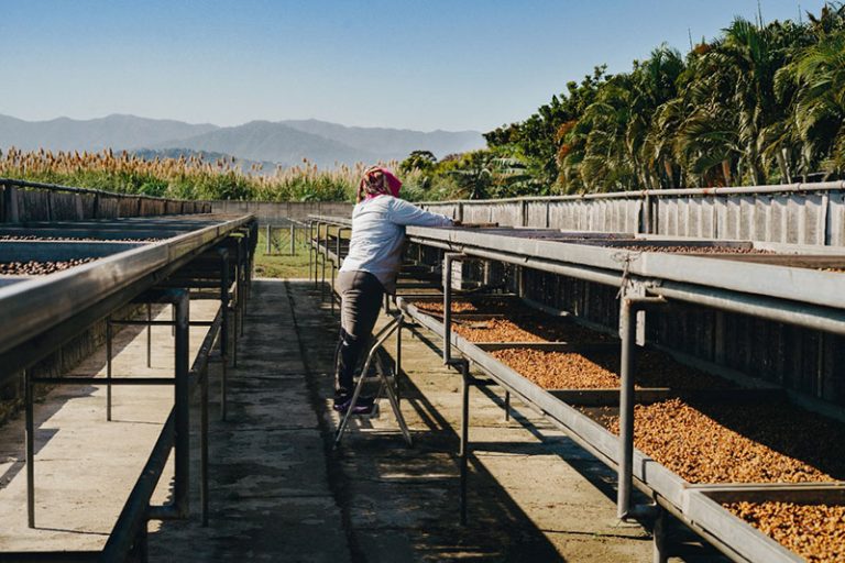 COE Origin Immersion – Instituto Salvadoreño Del Café San Salvador, El ...