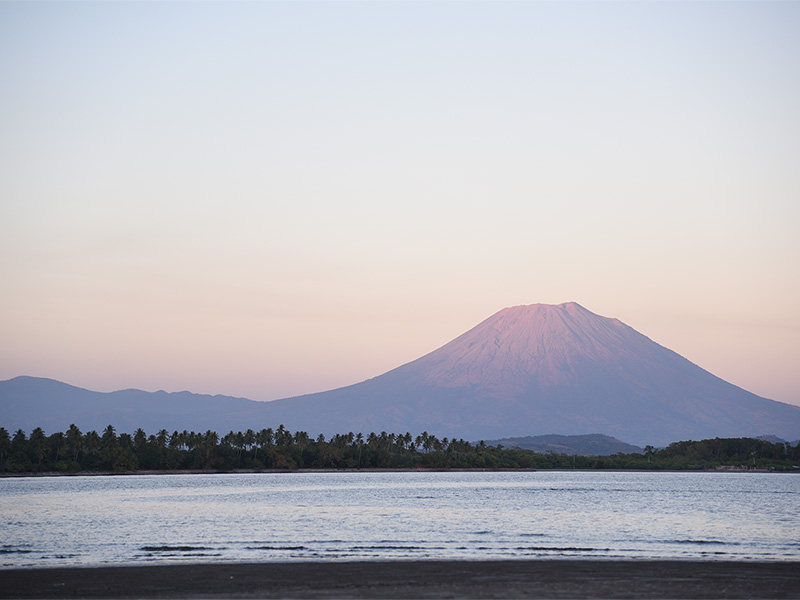 Sensory Educational Training - Cup of Excellence